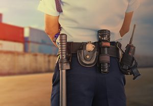 CGSS – Customized Guard Services & Systems