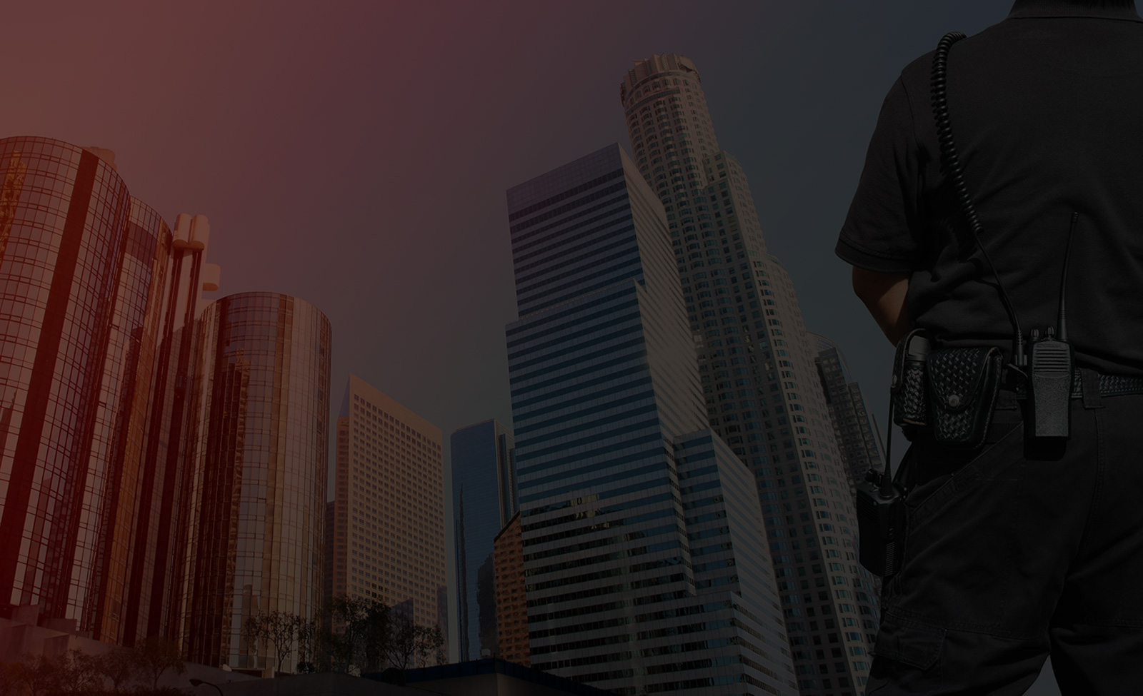 CGSS – Customized Guard Services & Systems